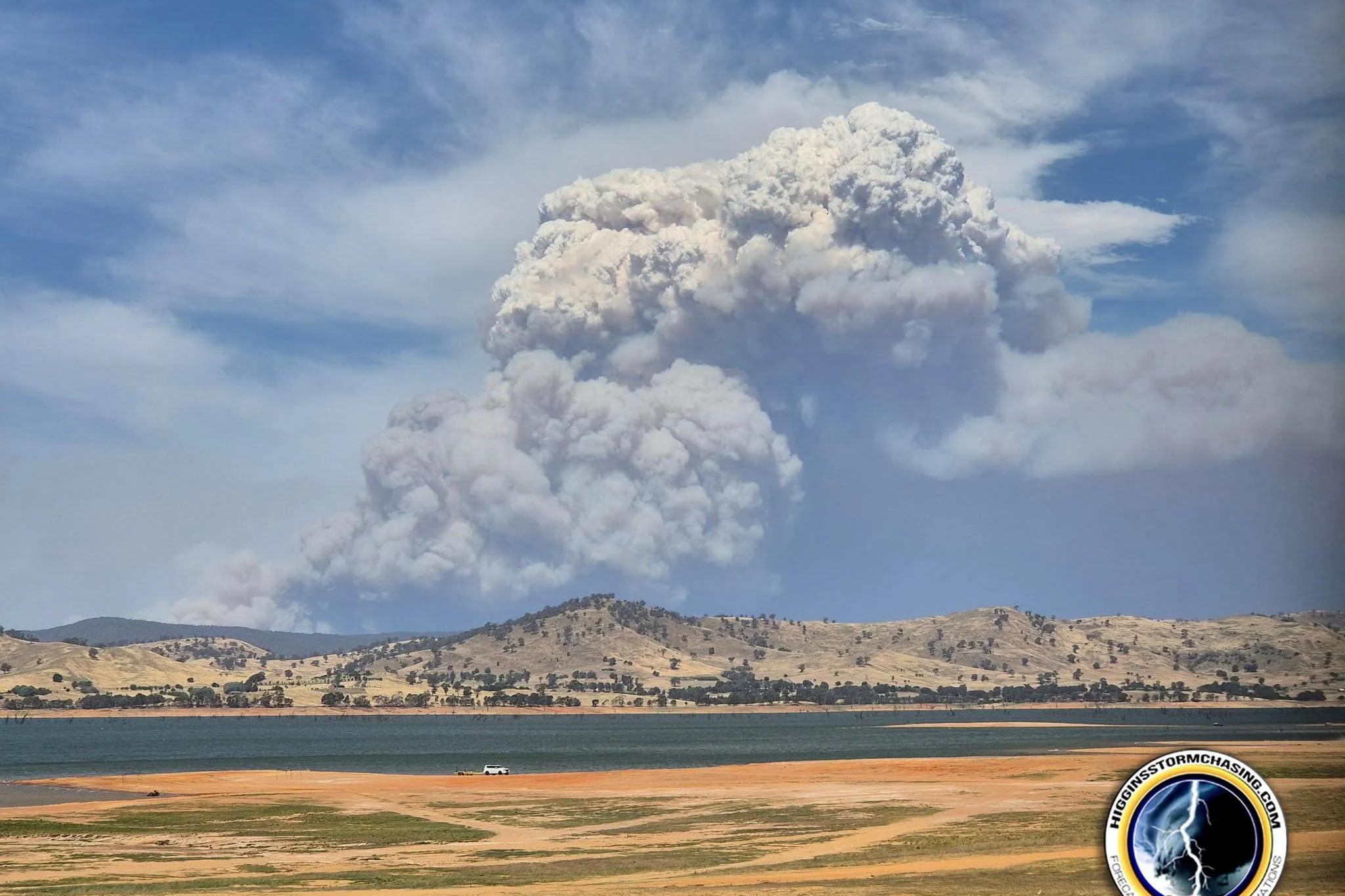 Heartbreaking losses in bushfires