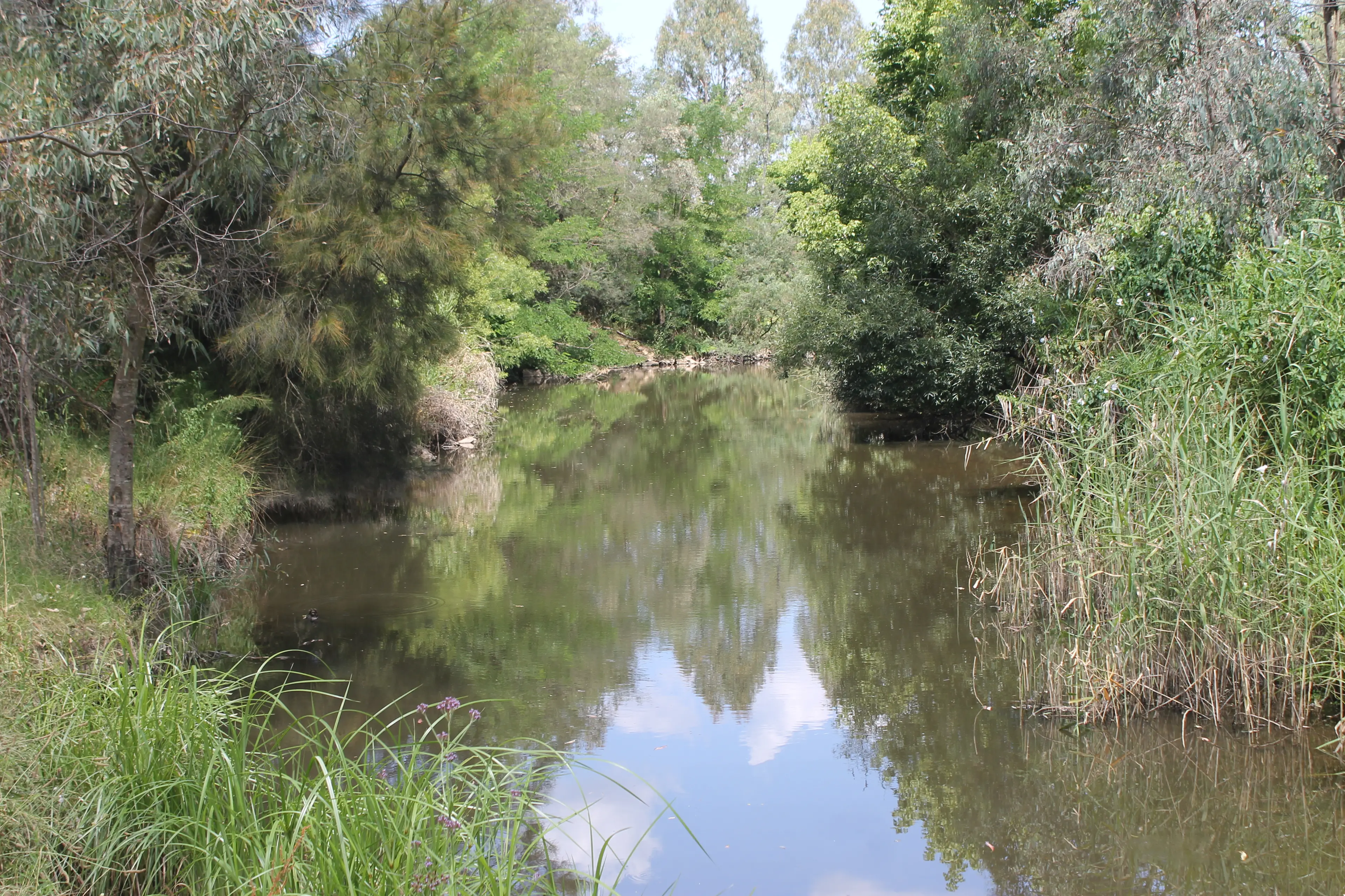 Updating flood controls into the Alpine Planning Scheme